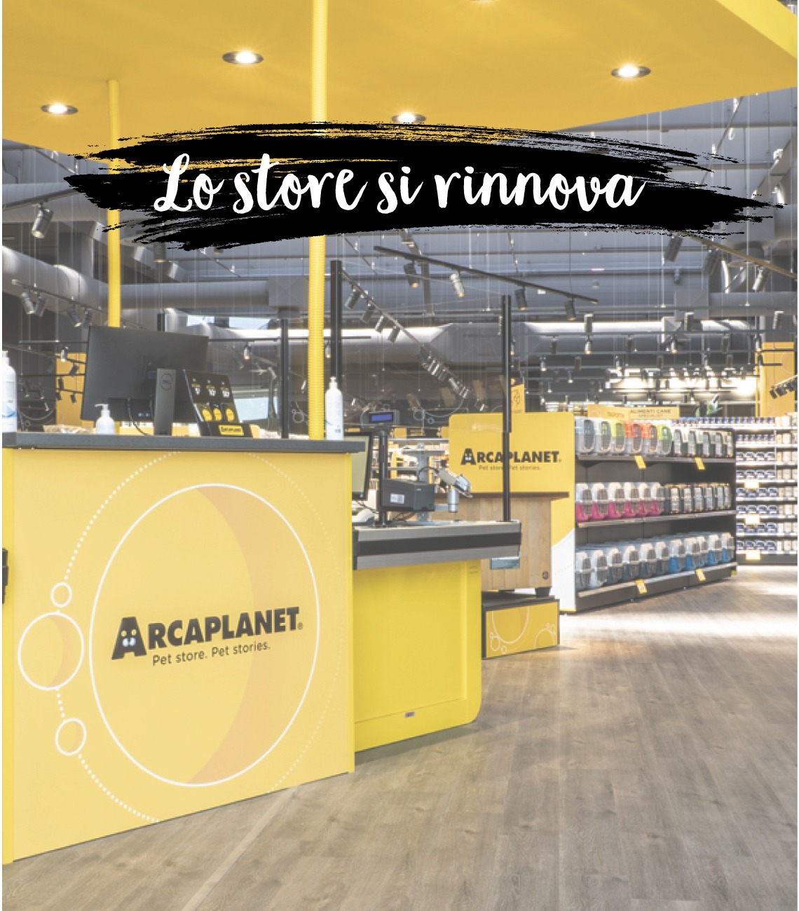 Archivi Eventi - ArcaMagazine