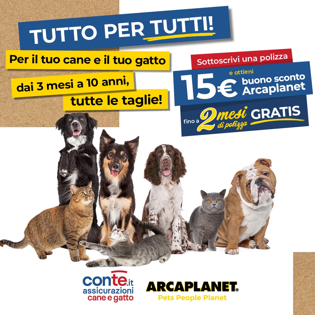 Il blog di Arcaplanet: guide, consigli, prodotti - ArcaMagazine